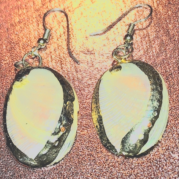 Source Unknown | Jewelry | Vintage Genuine Abalone Shell Hook Dangle ...